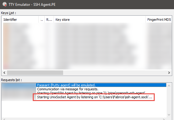 How To - WSL + TTYEmulator Agent - TTY Emulator